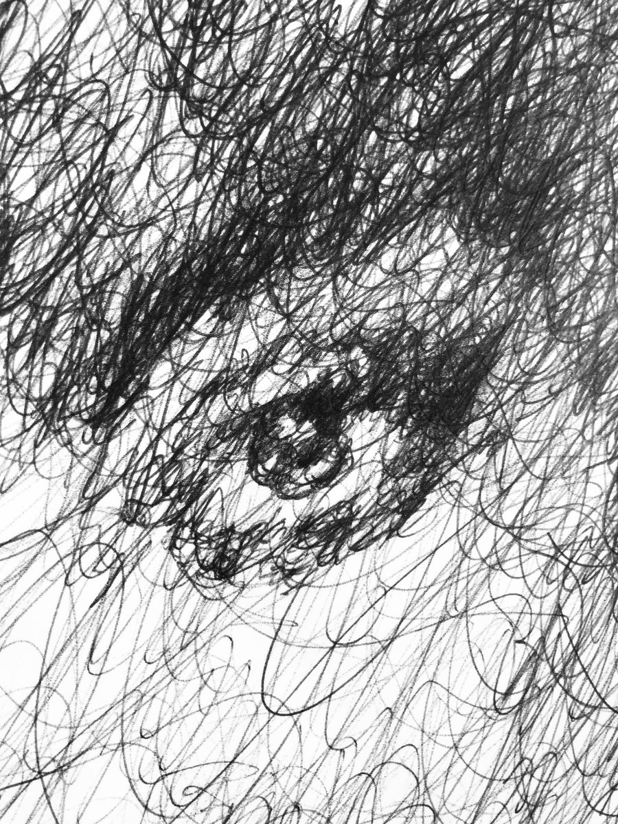 Biro Portrait Drawing #5- Biro on Paper - A4 – tamburlaine.art